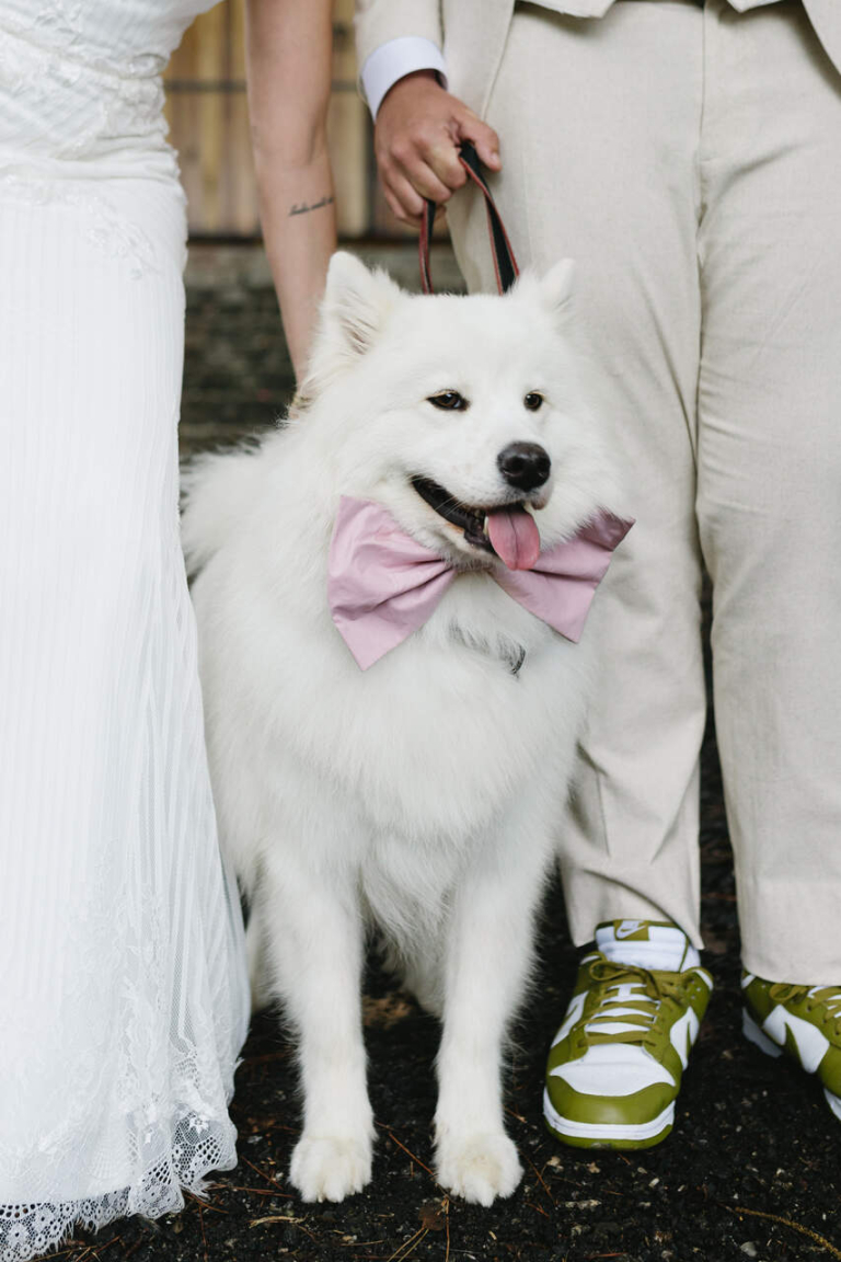 Casamento Muriel de Aquino & Gabriel Kaled
